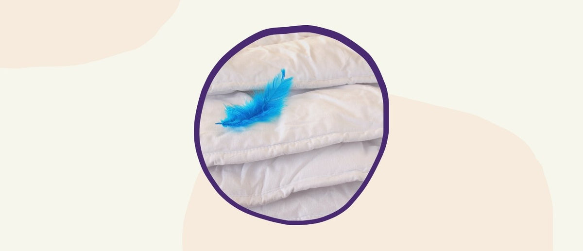 Down vs feather guide: how to choose? | Polysleep