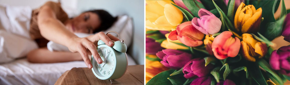 5 Tips to Embrace the Spring Forward Time Change | Polysleep Blog